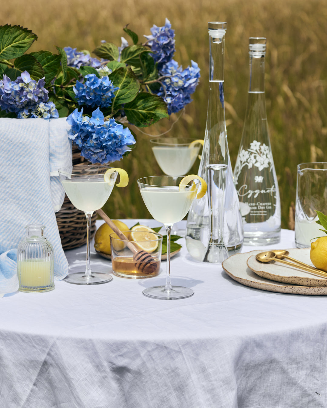 Introducing Cygnet Welsh Dry Gin & Tonic: Elevating Convenience with T ...
